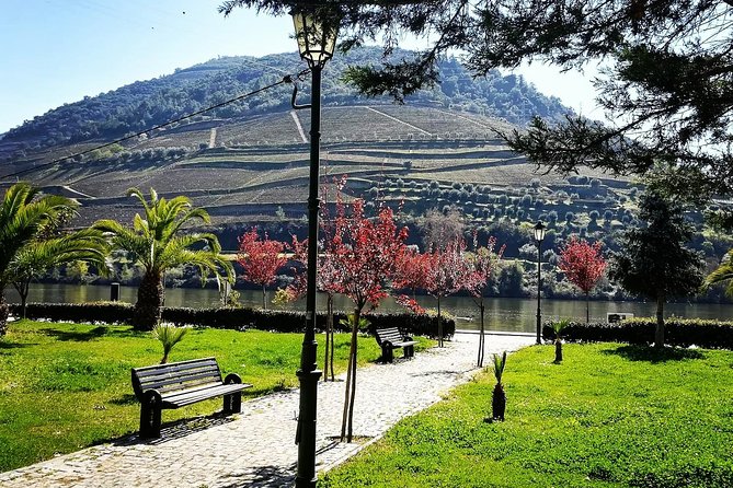 Douro Valley from Porto with Wineries, Lunch and Boat Trip - Final Thoughts