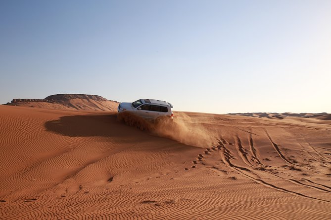 Dubai Desert Discovery: Red Dunes Safari, Sandboard & Camel Ride - Final Words