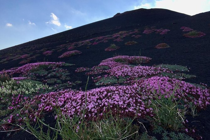 Etna Grantour - 4x4 & trekking - Private tour with lunch included - Final Thoughts: Why Choose EtnaGrantour?