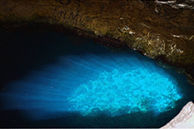 Experience on Sal Island with native and certified guide (including sharks) - The Bottom Line: Is It Worth It?
