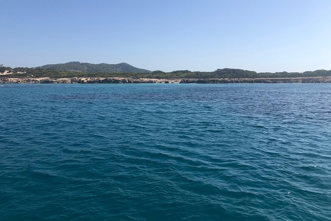 Formentera Small-Group Day Trip by Sailboat from Ibiza - Practical Tips for Travelers