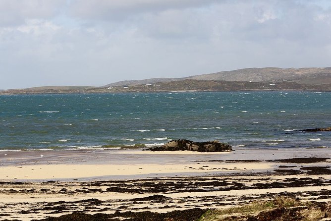 From Galway: Guided tour of Connemara with 3 hour stop in Kylemore Abbey - Final Thoughts