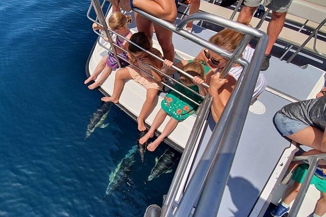 From Lagos: Dolphin Watching Cruise on a Catamaran - Potential Drawbacks