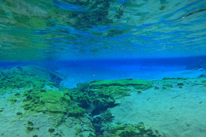 From Reykjavik- Silfra Snorkeling transfer included - Who Will Love This Experience?