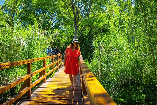 From Split: Krka Waterfalls Tour - Caveats and Considerations