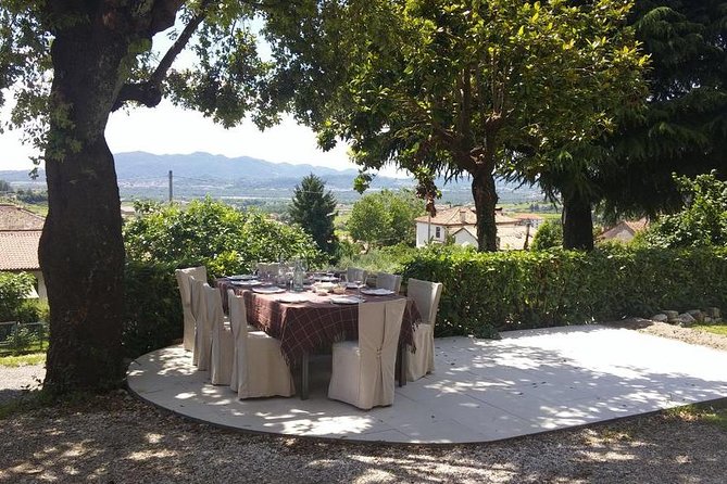From Venice : Wine and Food tour in the Prosecco Hills - Possible Considerations