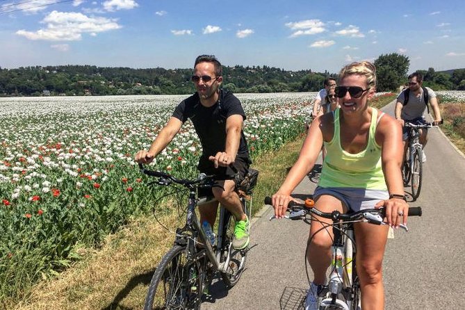Full-Day Countryside E-Bike Tour to Karlstejn Castle (small group - Who Should Consider This Tour?