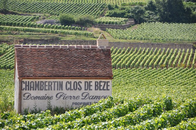 Full-Day Private Tour, 6 Premiers & Grands Crus, The Best of Burgundy - Final Thoughts: Is This Tour Worth It?