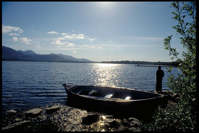 Full-Day Ring of Kerry Tour from Killarney - Authentic Reviews: What Travelers Say