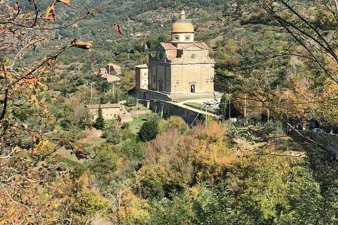 Full-Day Small-Group Truffle Hunting in Tuscany with Lunch - Return Trip: Easy and Relaxed