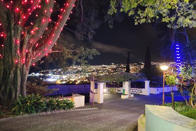 Funchal Christmas lights sightseeing night tour - Value and Who Will Love This Tour