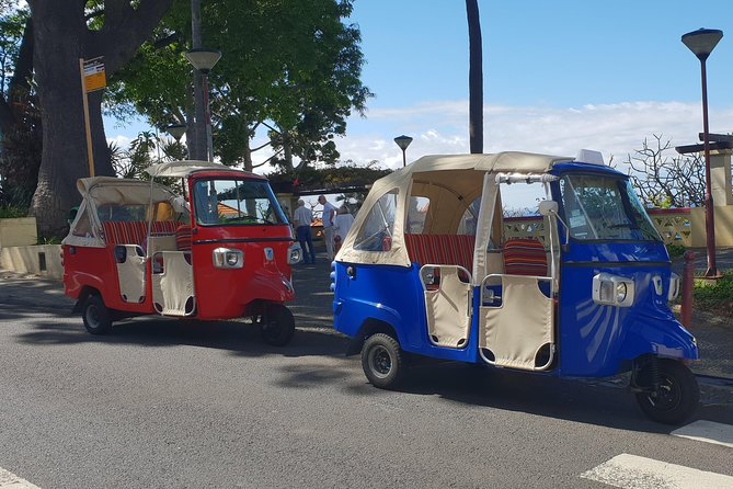 Funchal City Tour + Old Town - Authenticity and Guide Quality