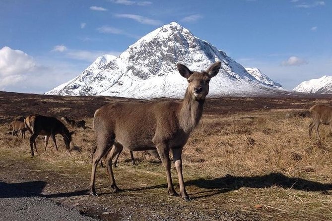 Glasgow: Loch Ness, Glencoe, and the Highlands Day Tour - Source