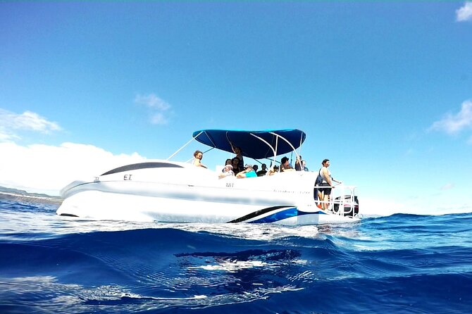 Glass Bottom Boat Tour & Snorkeling in São Miguel, Azores - The Sum Up: Is It Worth It?