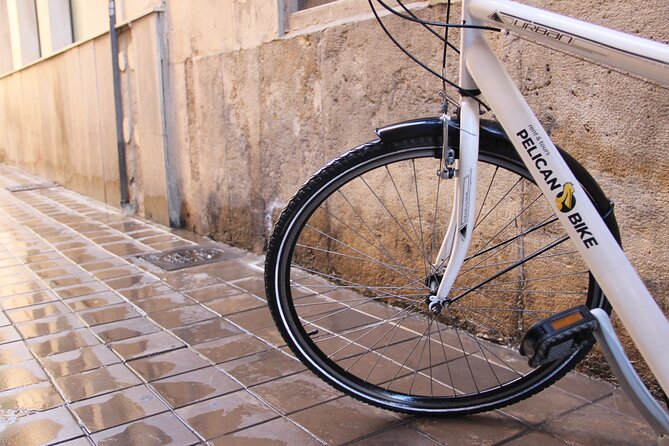 GRAND CITY Private Guided Tour on Bike, E-Bike, E-Step or Segway - Practical Tips for Participants