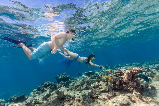 Great Barrier Reef Snorkeling and Diving Cruise from Cairns - Final Thoughts