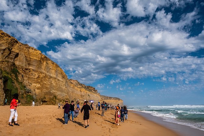 Great Ocean Road Small-Group Eco Tour from Melbourne - Who Is This Tour Best For?