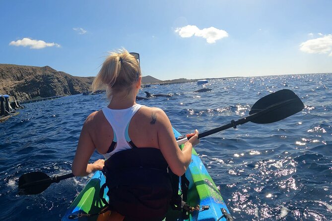 Guided Kayak Tour From Los Cristianos Beach Tenerife - The Value Proposition: Is It Worth It?