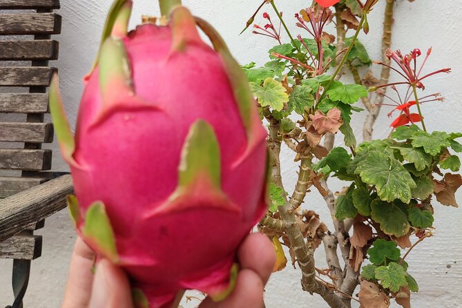 Guided Tour to the only coffee farm in Europe - Who Should Book This?