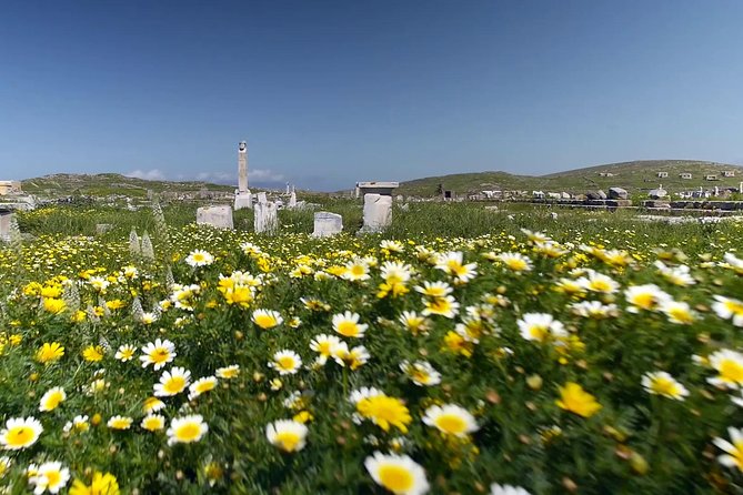 Half-Day Delos Tour from Mykonos - Final Word