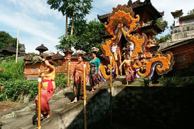Half-Day Electric Cycling Tour of Ubud - The Sum Up