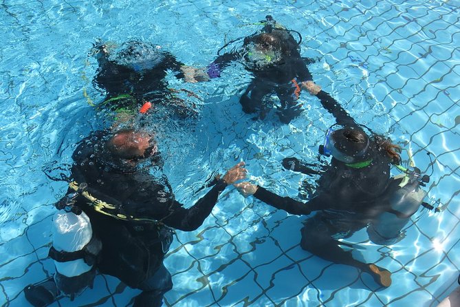 Half-Day Scuba Diving Tour - Discover Scuba Diving! - Why Travelers Love This Experience