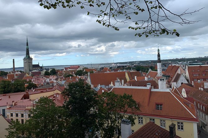 Helsinki to Tallinn Guided Tour with return Cruise tickets - FAQs for Potential Travelers