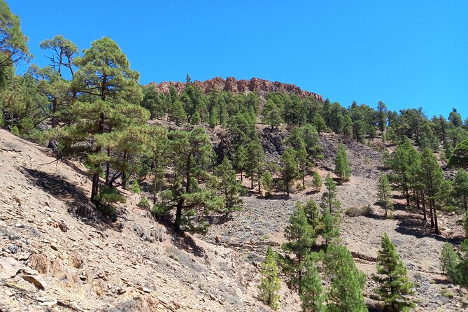 Hiking in Tenerife's Great Outdoors - Practical Considerations