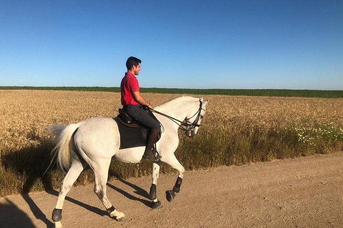 Horseback riding around Doñana - FAQ