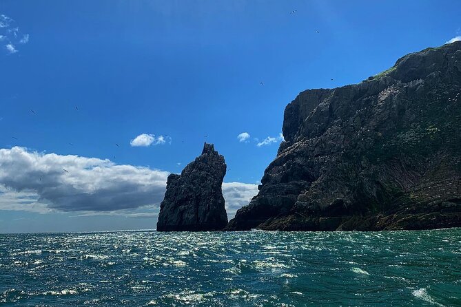 Howth Cliff Cruises - FAQ