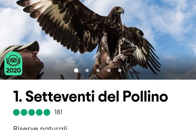 Interactive Educational Course on Birds of Prey - FAQ