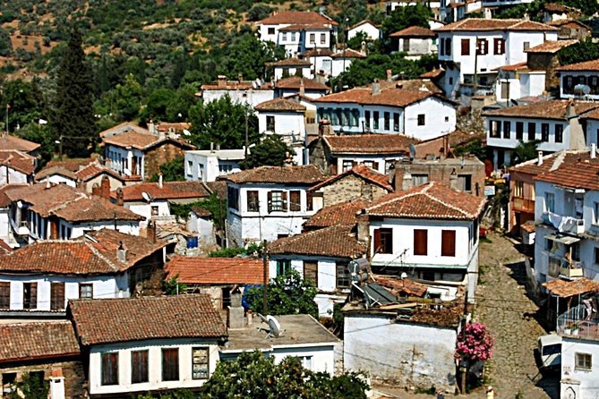 Istanbul to Ephesus Full Day Guided Tour, Flight and Lunch incl. - The Food and Local Flavor