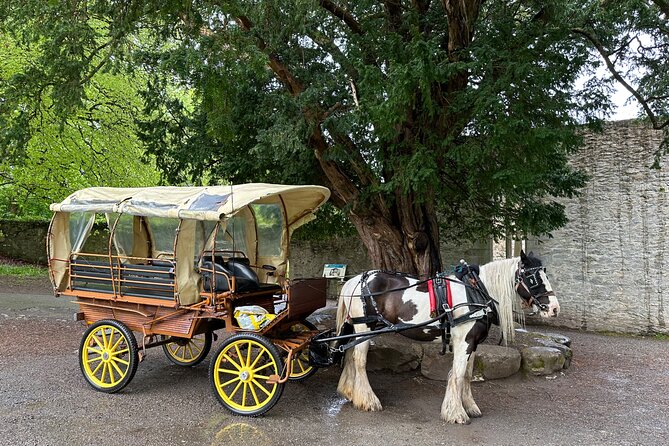Jaunting Car Tour in Killarney National Park - FAQ