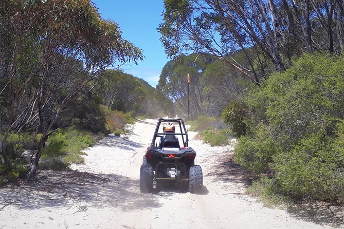 Kangaroo Island Quad Bike (ATV) Tours - The Human Touch: Reviews from Real Travelers