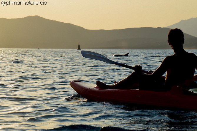 Kayak tour with aperitif and dolphins - FAQs