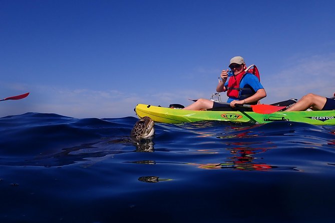 Kayaking with Dolphins and Turtles and Snorkelling in Tenerife - The Sum Up: Who Will Love This Tour?