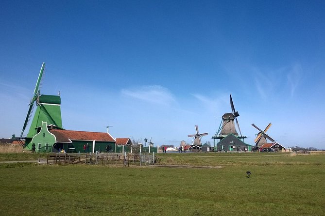 Keukenhof's Tulips and Windmills Small-Group Tour from Amsterdam - FAQ