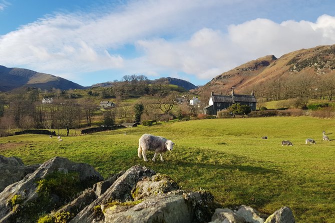 Lake District from Manchester Including Lake Cruise & Train Ride - Final Thoughts: Who Should Consider This Tour?