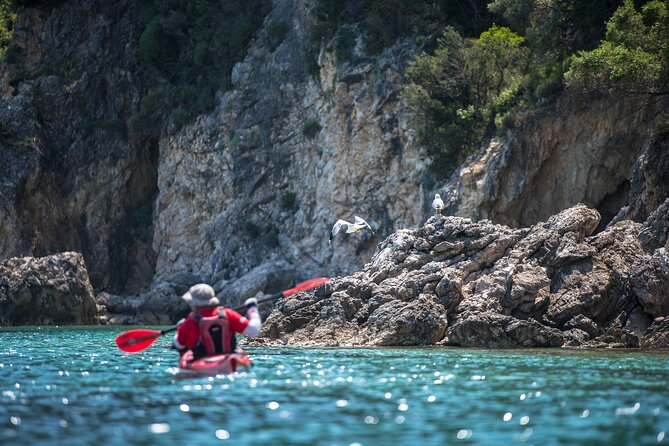 Lefkada Kayak : Explore Blue Cave with a Taste of Greece - Frequently Asked Questions
