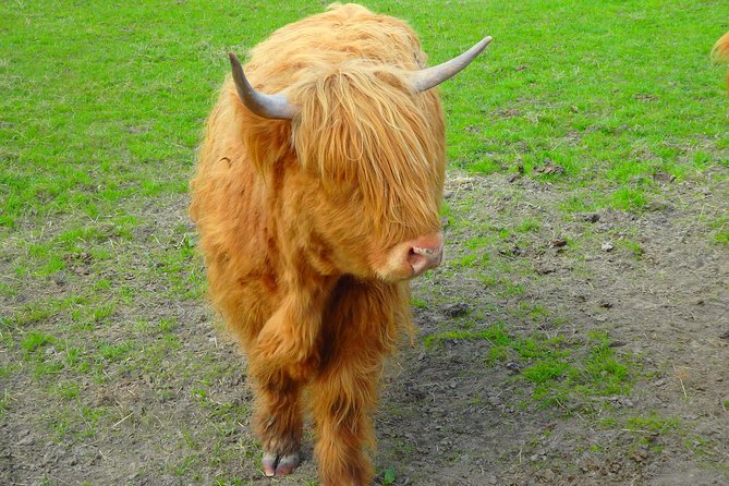 Loch Ness & Culloden Battlefield Private Tour from Inverness - FAQ