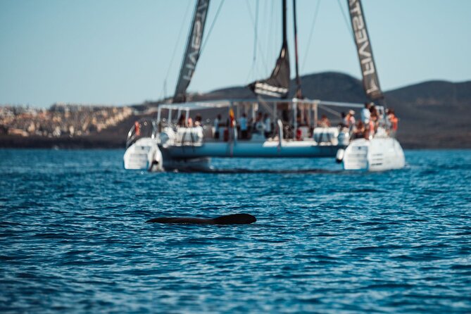 Luxury Catamaran Cruise with Brunch and Unlimited Drinks - The Crew & Service