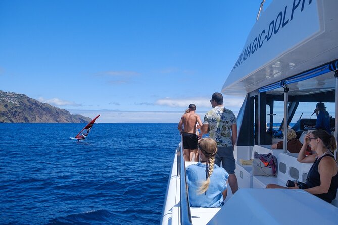 Madeira Dolphin and Whale Watching on a Ecological Catamaran - Frequently Asked Questions