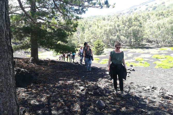 Mount Etna Half-Day Small Group Tour from Taormina - Frequently Asked Questions