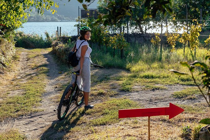 Naples Scenic pedal assisted Ride to a Local Vineyard with Meal - Why You Should Consider This Tour