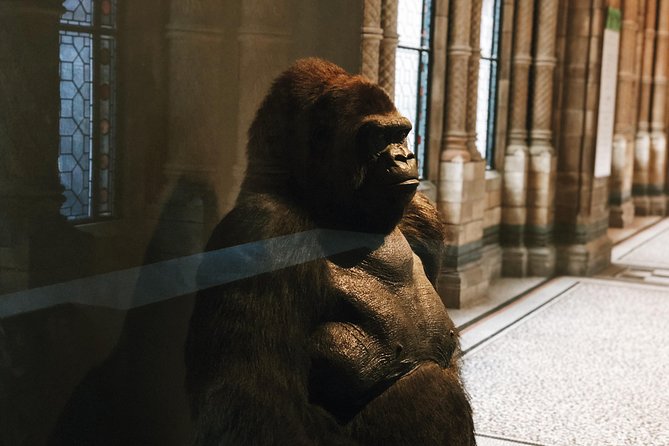 Natural History Museum London - Exclusive Guided Museum Tour - FAQ about the Natural History Museum Guided Tour