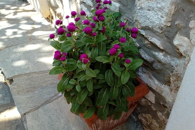 Naxos: Highlights of Naxos Day Tour - The Sum Up: Who Should Consider This Tour?