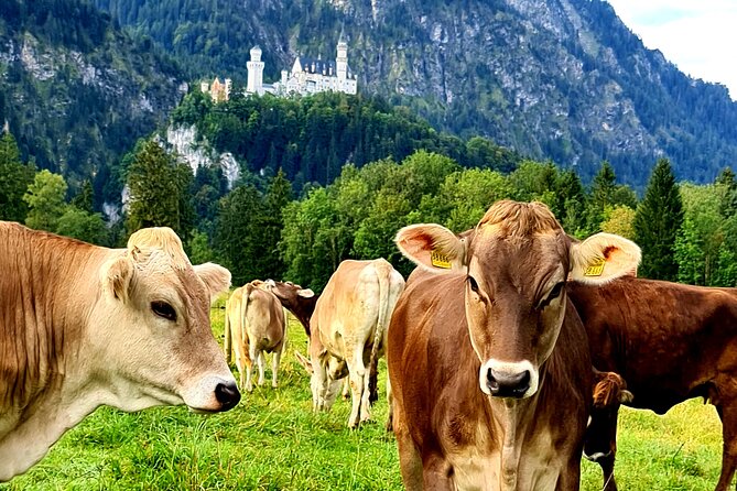 Neuschwanstein Castle, Ettal Abbey and Oberammergau Private Tour from Munich - The Sum Up