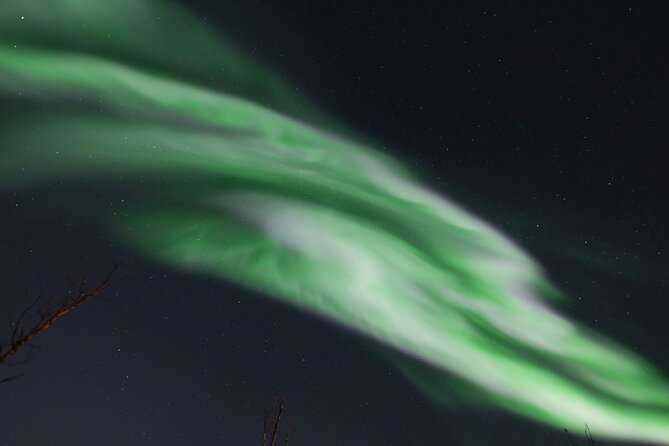 Northern Lights Tour & Arctic Experience - more than just a chase - Final Thoughts
