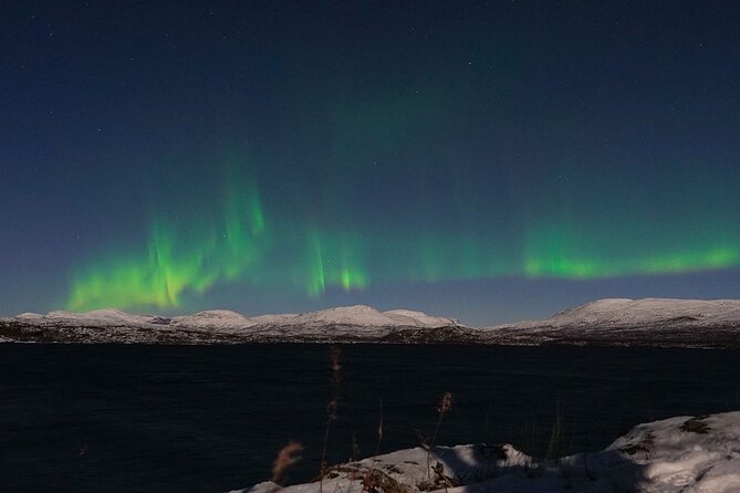 Northern Lights Tour from Kiruna to Abisko with Dinner - Final Thoughts: Is It Worth It?