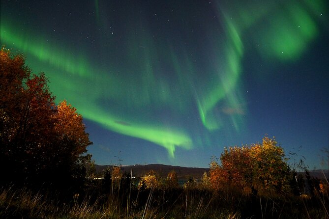 Northern Lights tour with Alta Adventure - The Reality of Aurora Viewing